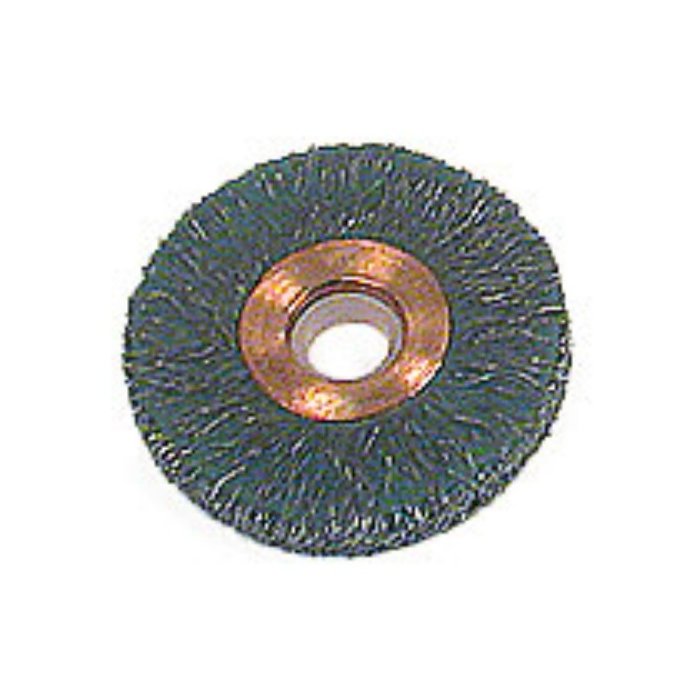 RE6055 Encapsulated Wire Brush